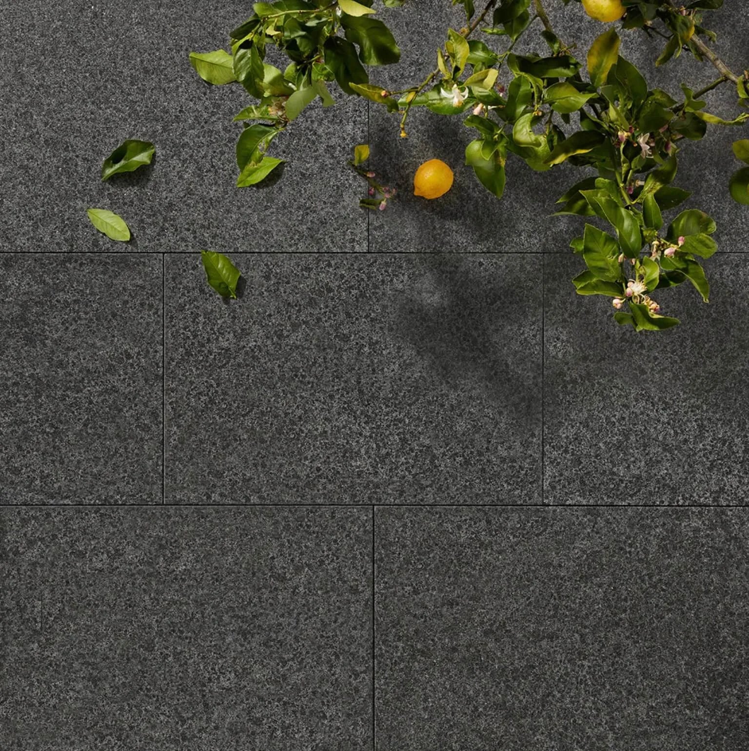 Raven Black Granite – Tile Gallery Aus